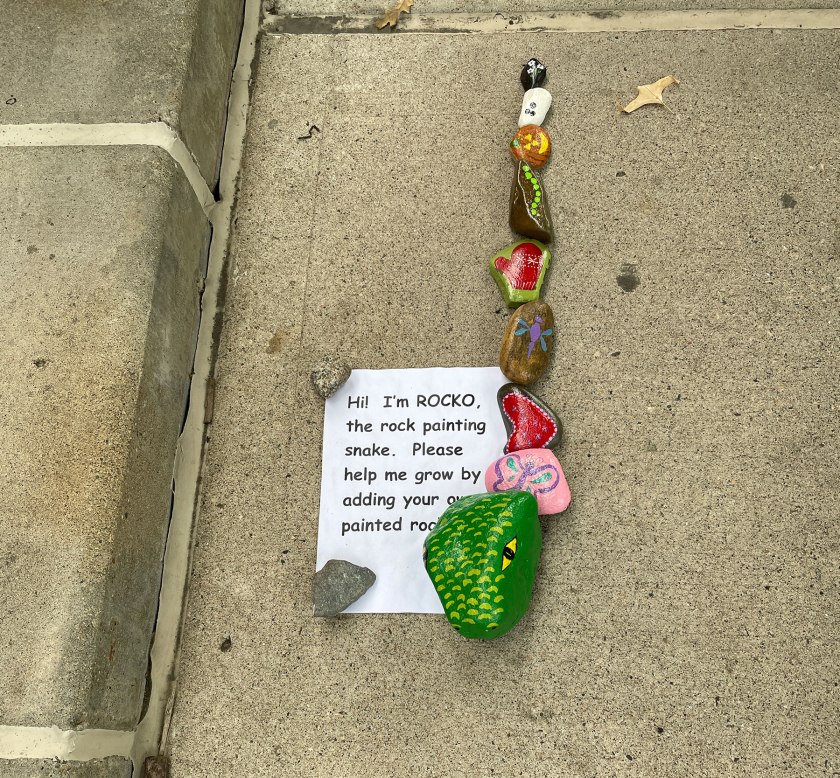 Rocko the Painted Rock Snake at Wentworth Library – West St. Paul Reader