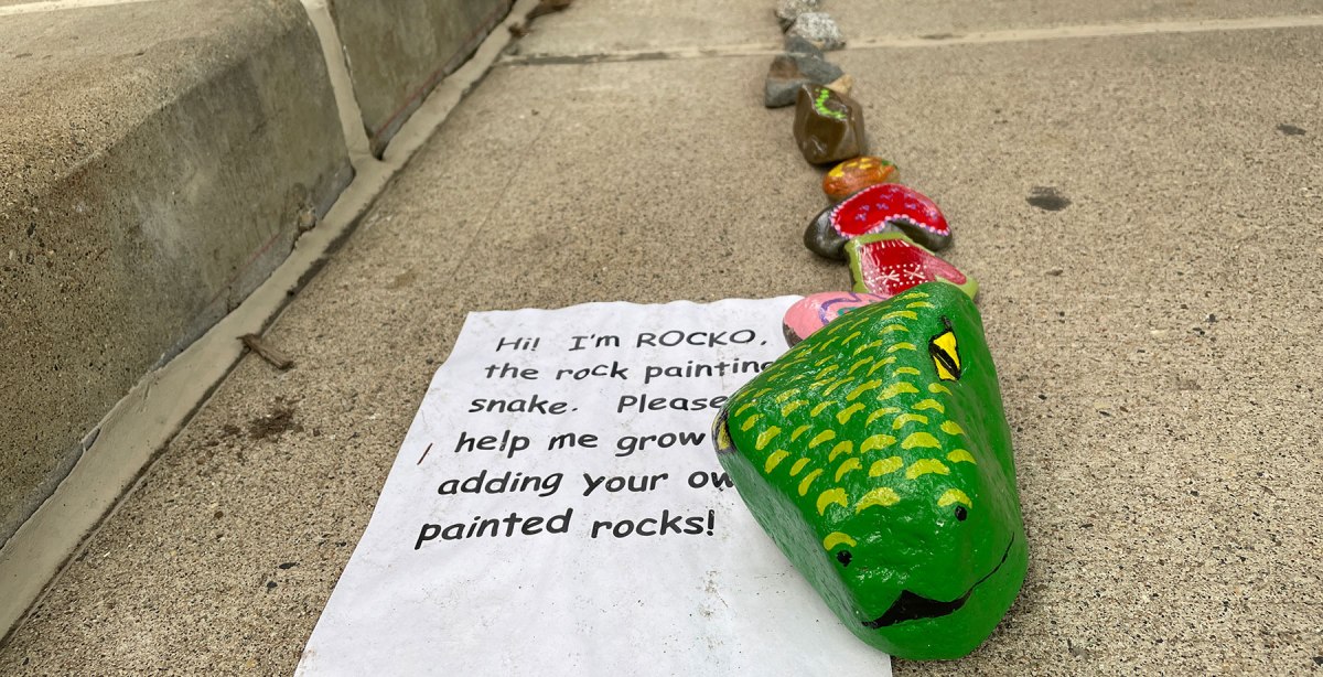 Rocko the Painted Rock Snake at Wentworth Library – West St. Paul Reader