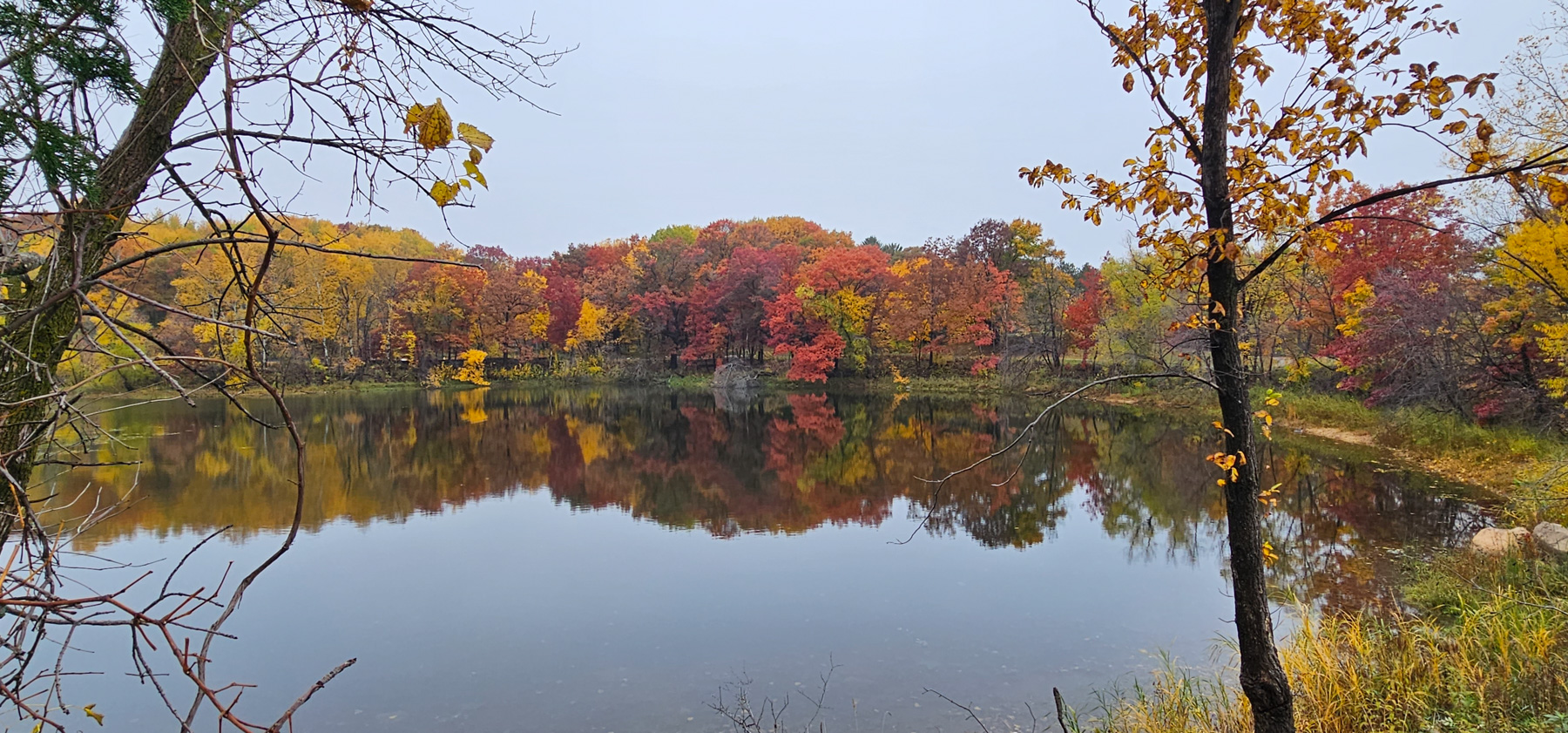 2023 Fall Color Photo Contest: Winners – West St. Paul Reader