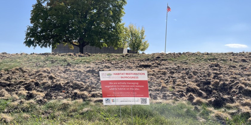 Prairie Restoration at West St. Paul City Hall – West St. Paul Reader